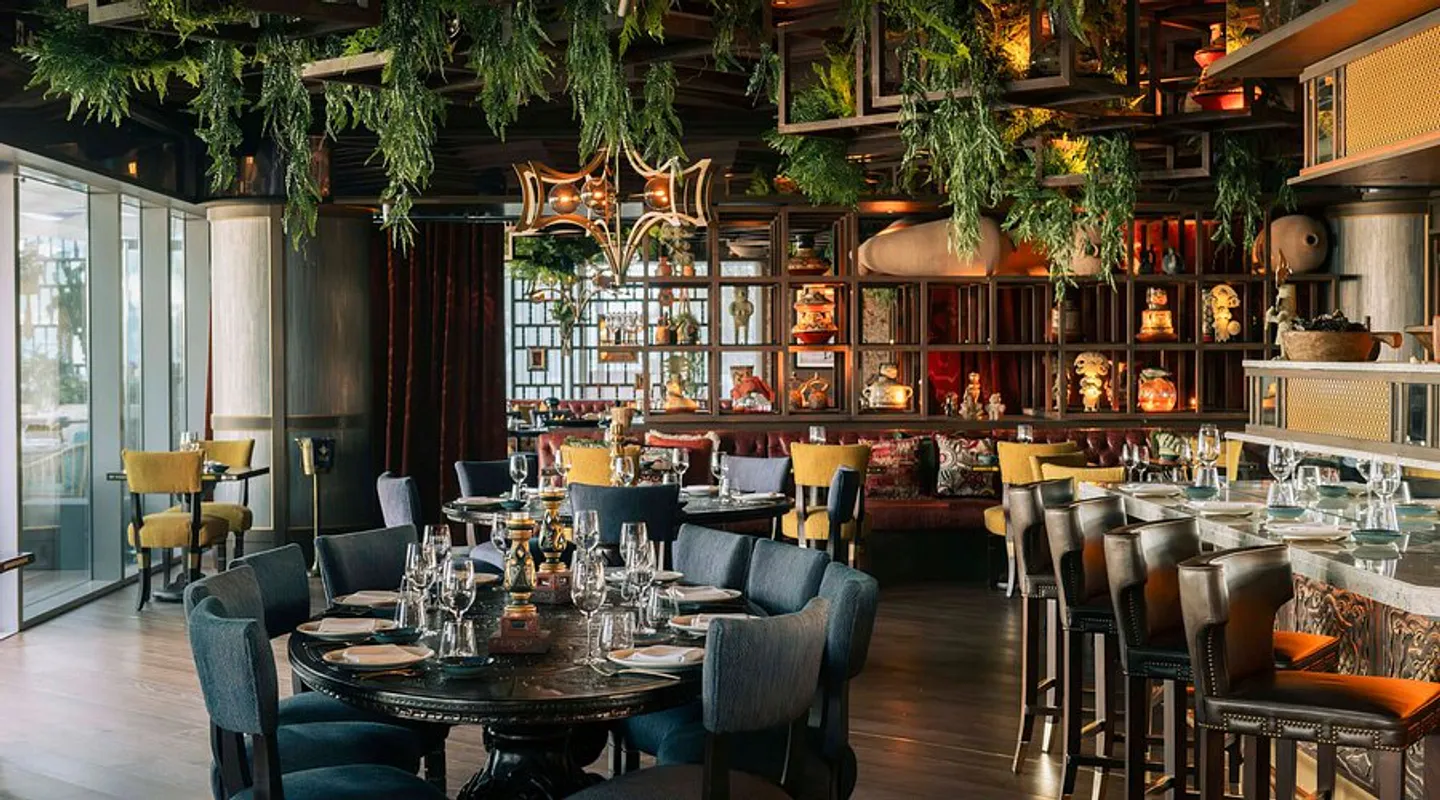 COYA Barcelona Restaurant: Info, Menu & Reservations