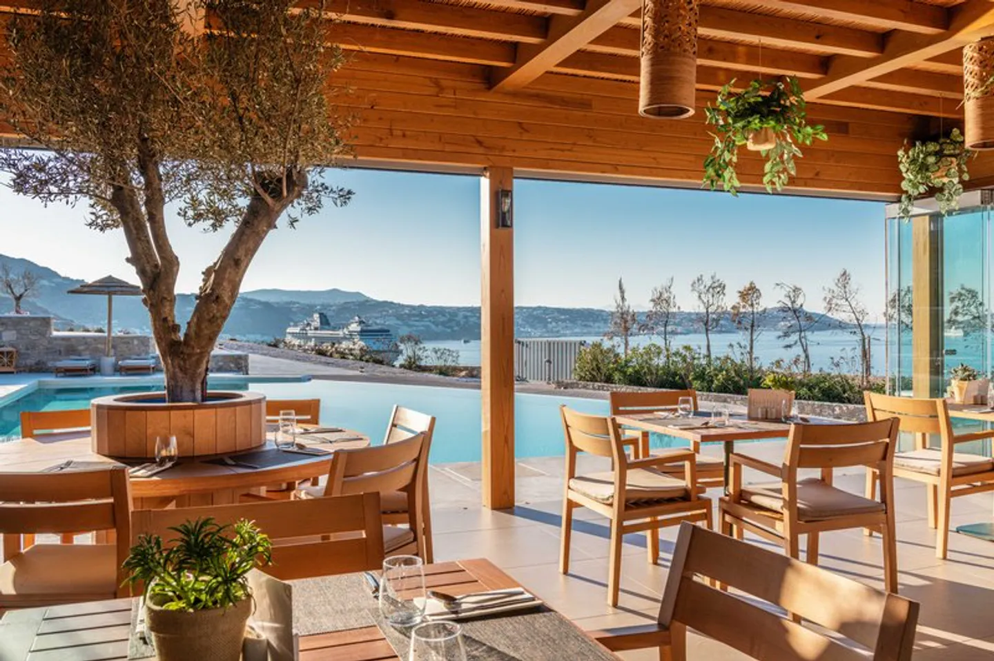 Alemagou Mykonos Restaurant: Info, Menu & Reservations