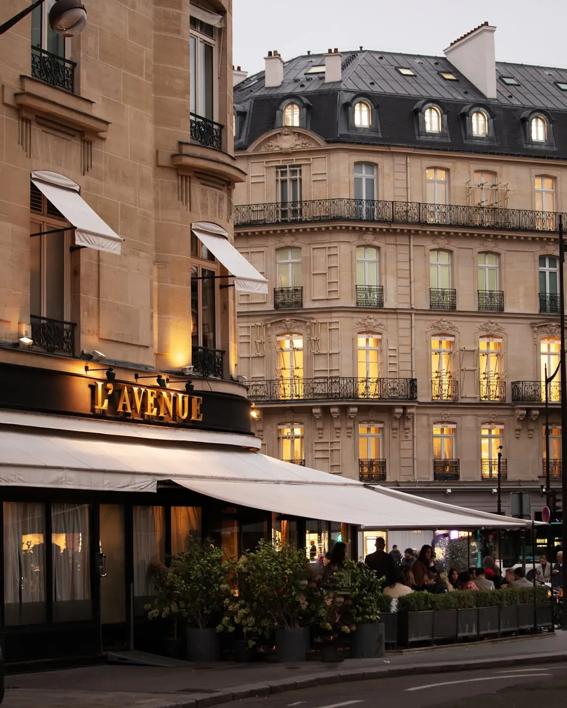 L'Avenue Paris Restaurant: Info, Menu & Reservations