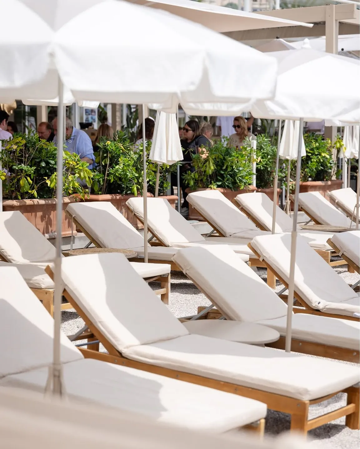 Neptune Monaco Beach Monaco Beach Club: Sunbeds, Info & Reservations