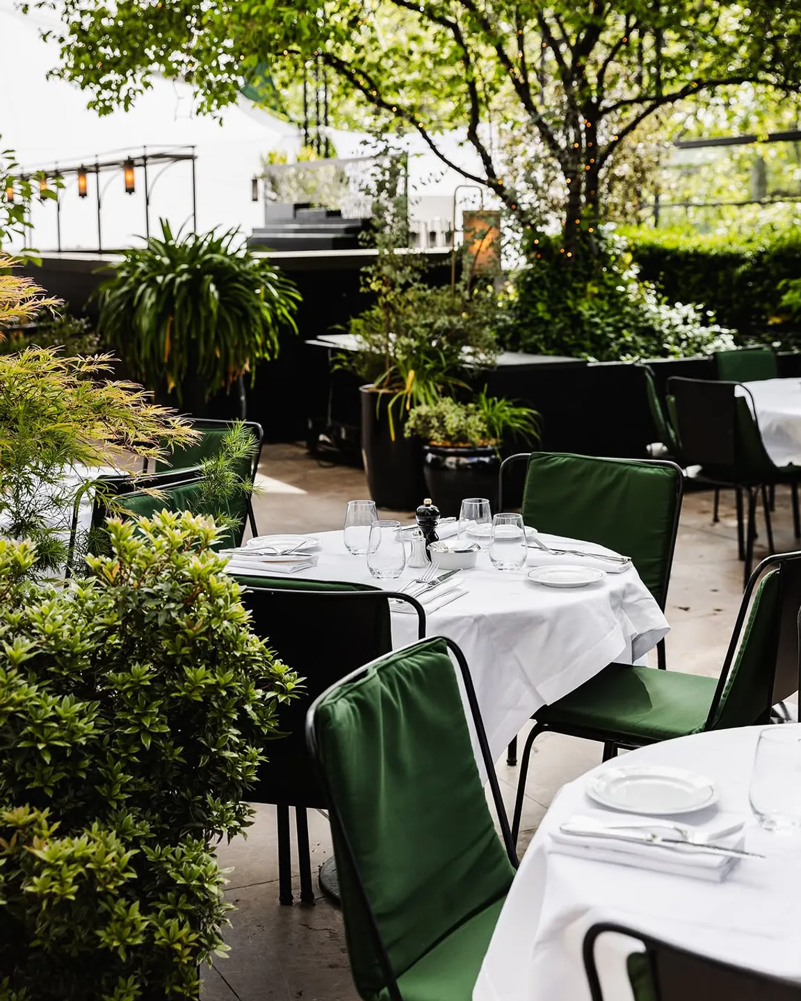 Monsieur Bleu Paris Restaurant: Info, Menu & Reservations