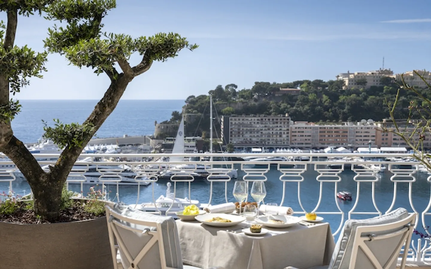 Best Restaurants in Monaco | Alotea