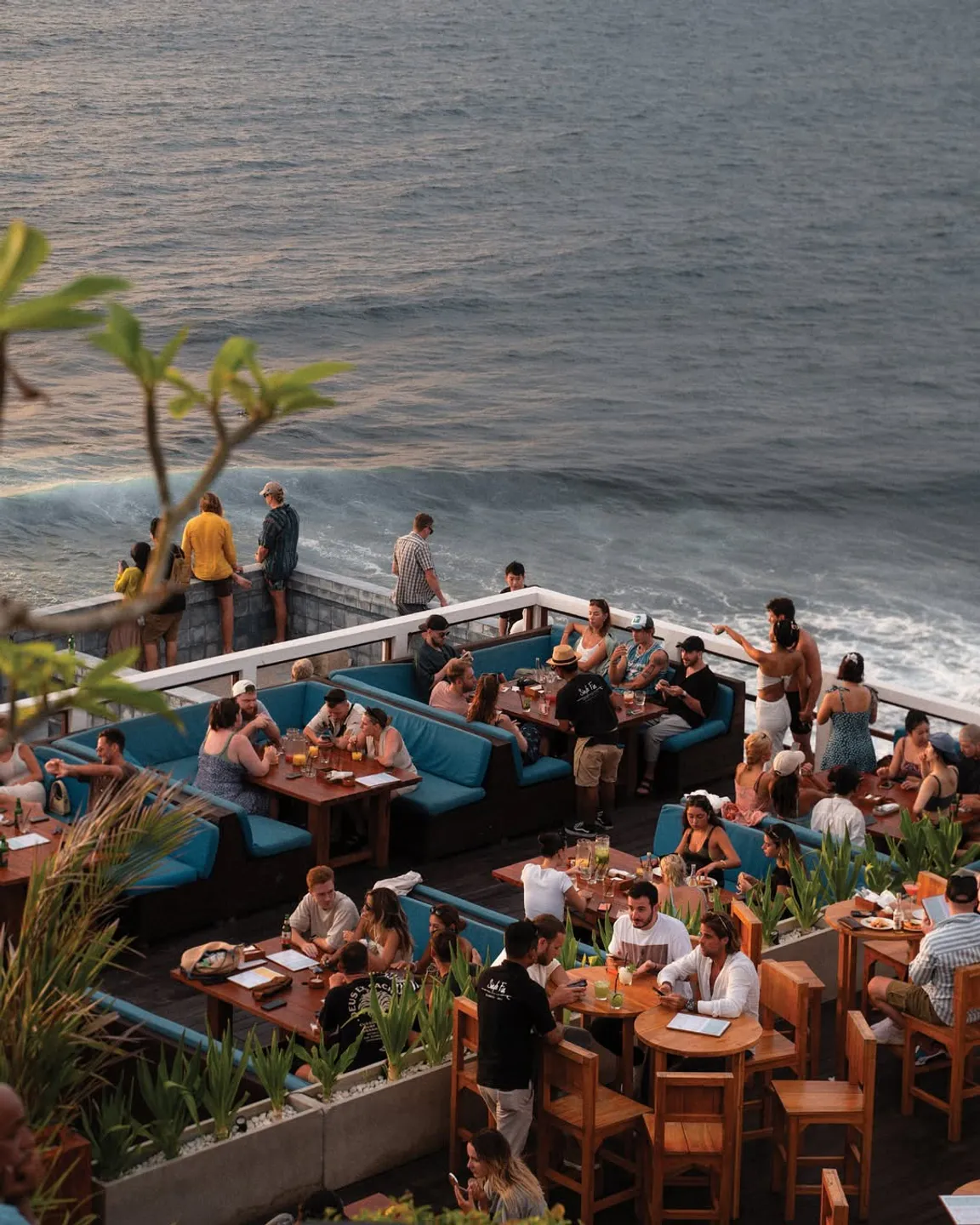 Single Fin Bali Restaurant: Info, Menu & Reservations