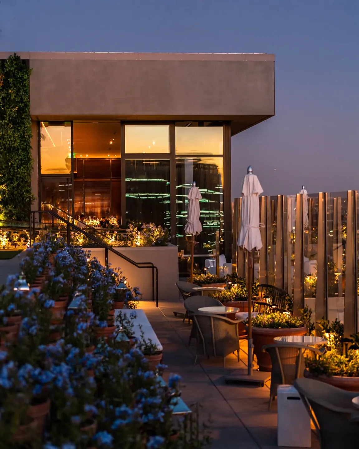 The Rooftop by JG Los Angeles Restaurant: Info, Menu & Reservations