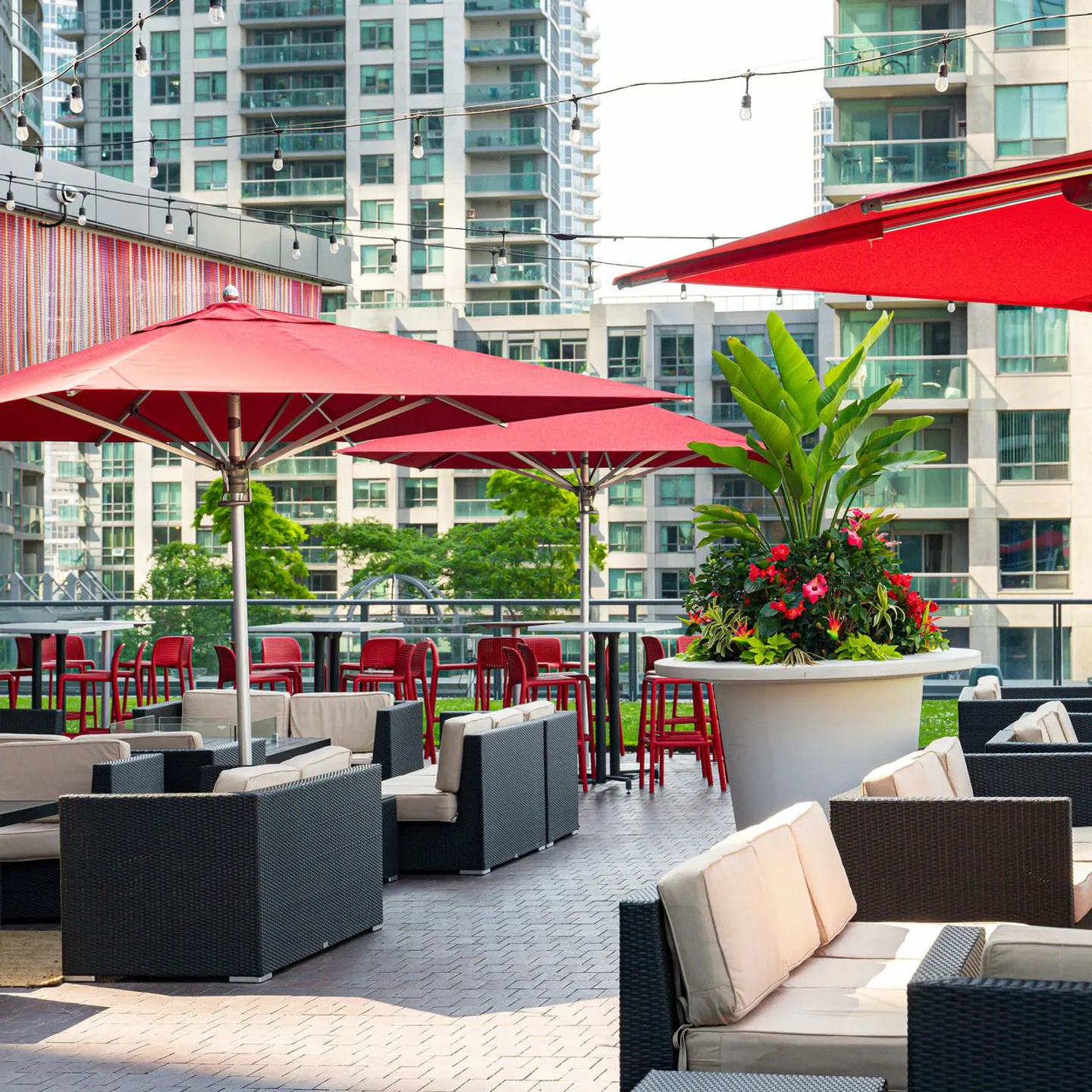 The Roof at SOCO Toronto Restaurant: Info, Menu & Reservations