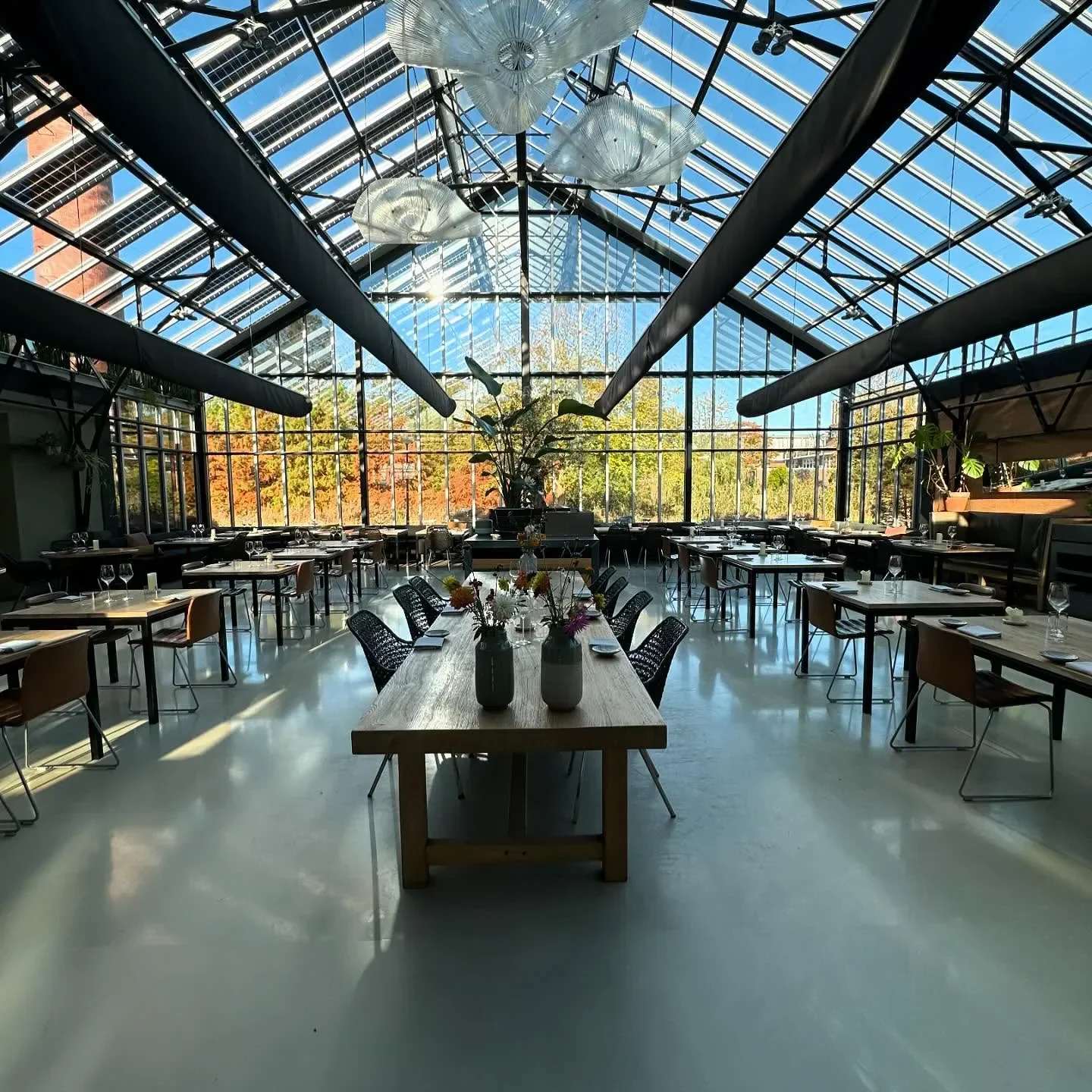 Top 10 Restaurants in Amsterdam | Alotea Concierge