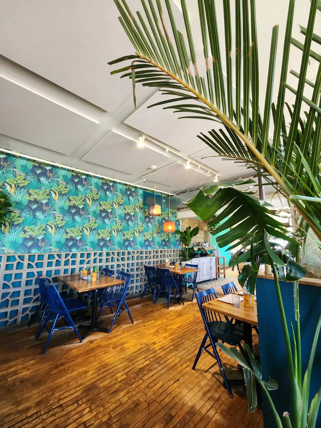 HAI HAI Minneapolis Reservations | Alotea Concierge