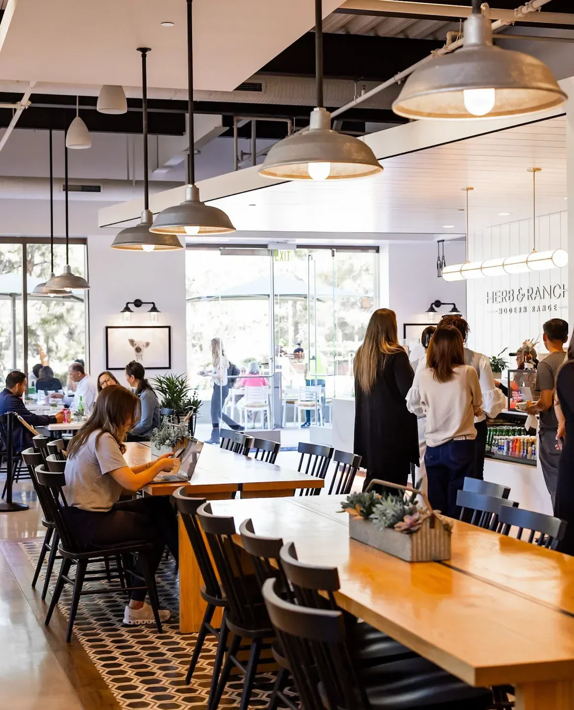 Best Restaurants in Orange County | Alotea Concierge