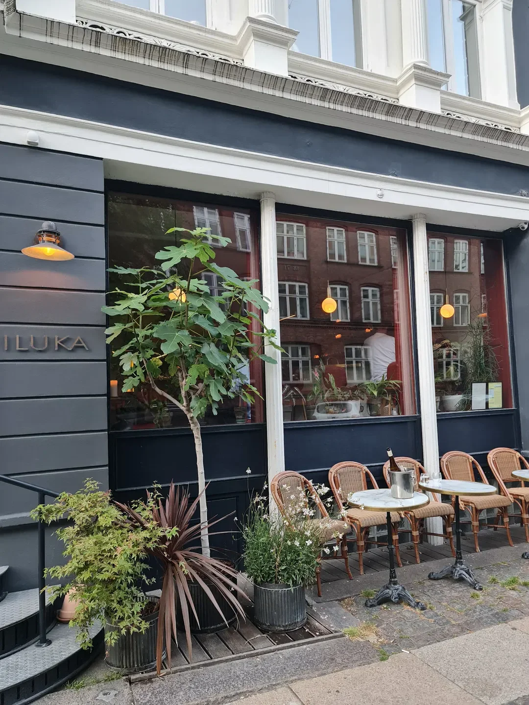 Restaurant Barr Copenhagen Reservations | Alotea Concierge