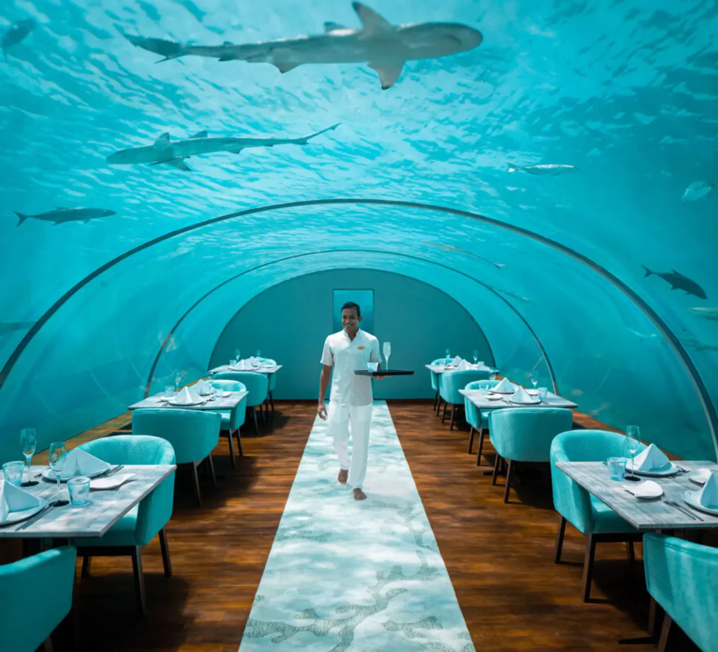 Ithaa Undersea Restaurant Maldives Reservations | Alotea Concierge