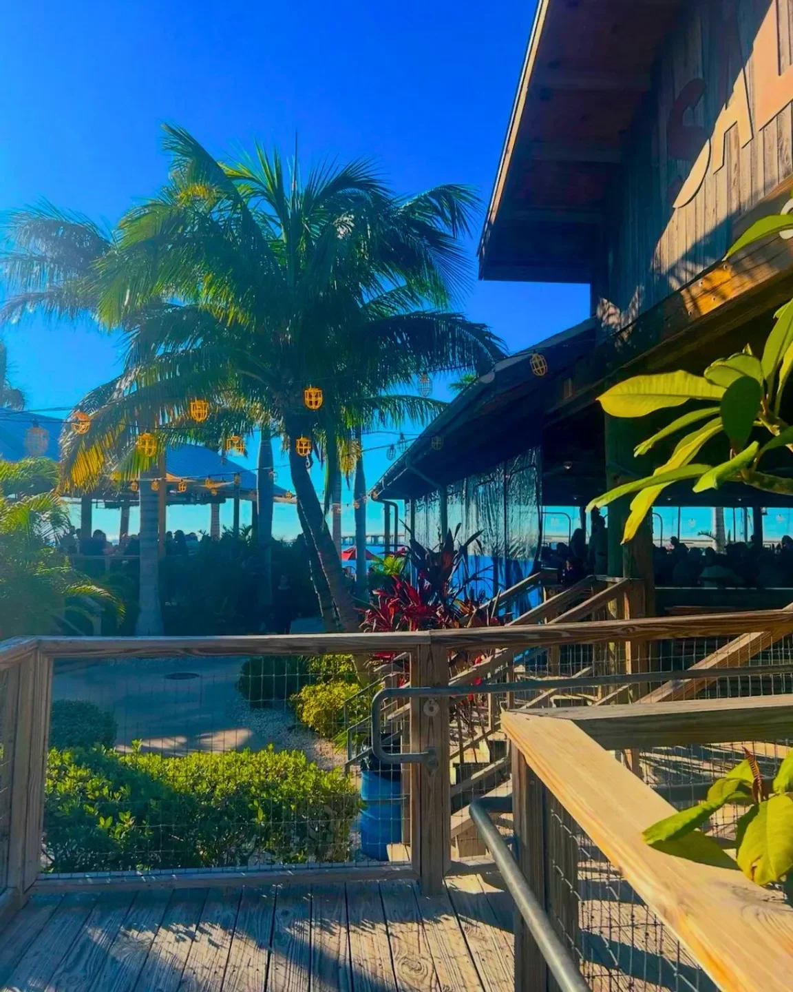 Salt Shack on the Bay Tampa Reservations | Alotea Concierge