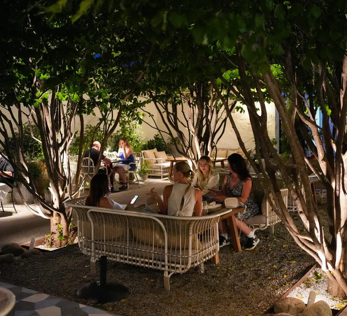 Suraya Philadelphia Reservations | Alotea Concierge
