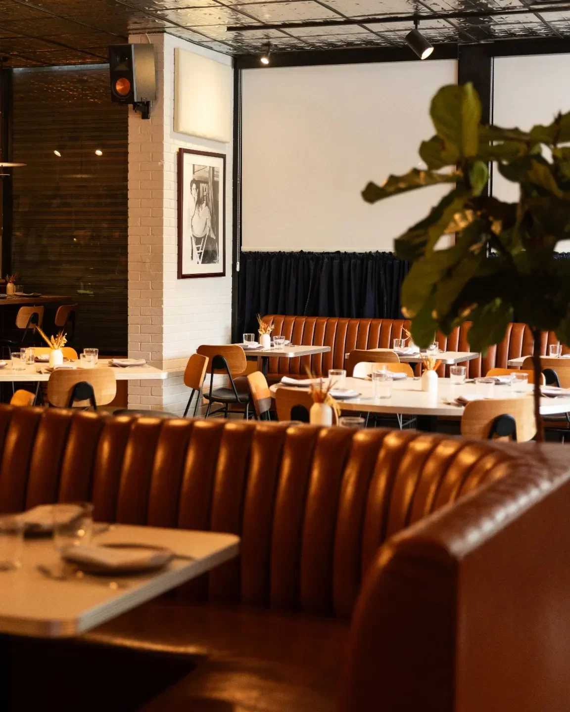 Mandolin Aegean Bistro Miami Reservations | Alotea Concierge